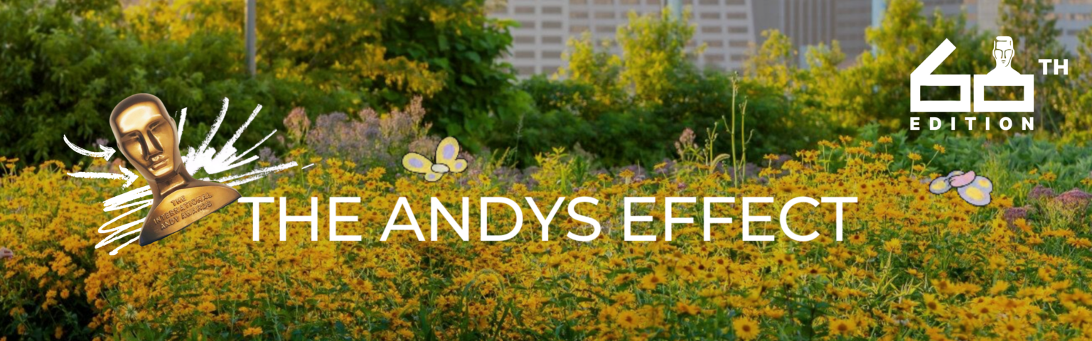 The ANDY Effect - ANDY Awards